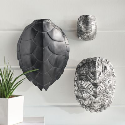 Large Turtle Shell Wall Decor - Wall Design Ideas