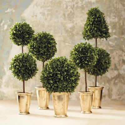 Mini Boxwood Topiaries | Grandin Road