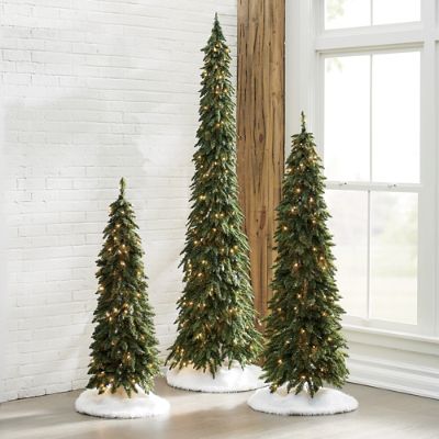 Down-swept Slim Pine Trees | Grandin Road