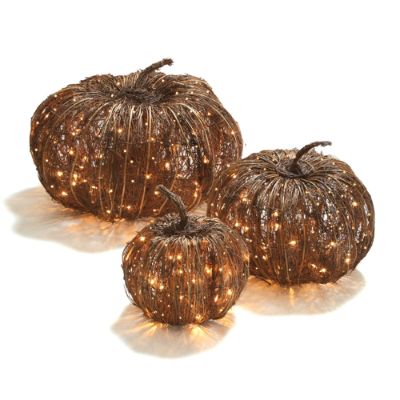 Pre-lit Grapevine Halloween Pumpkins | Grandin Road
