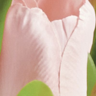 Reese Pedestal Planters | Grandin Road